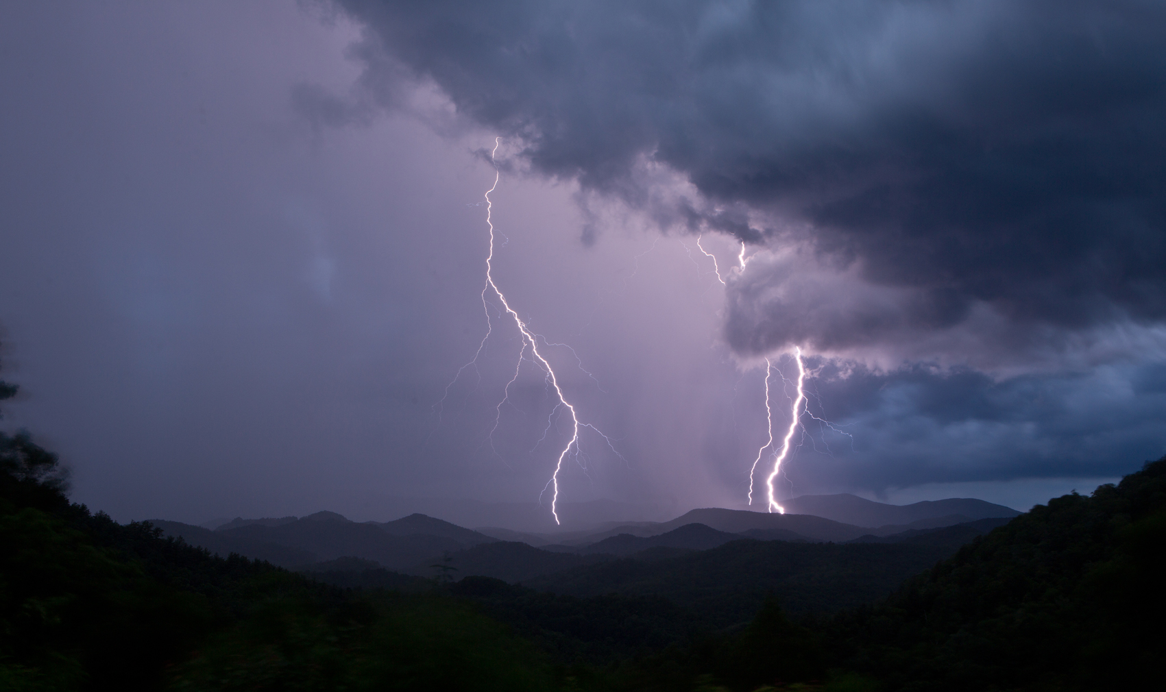 Spring / Summer – Peter McIntosh Photography