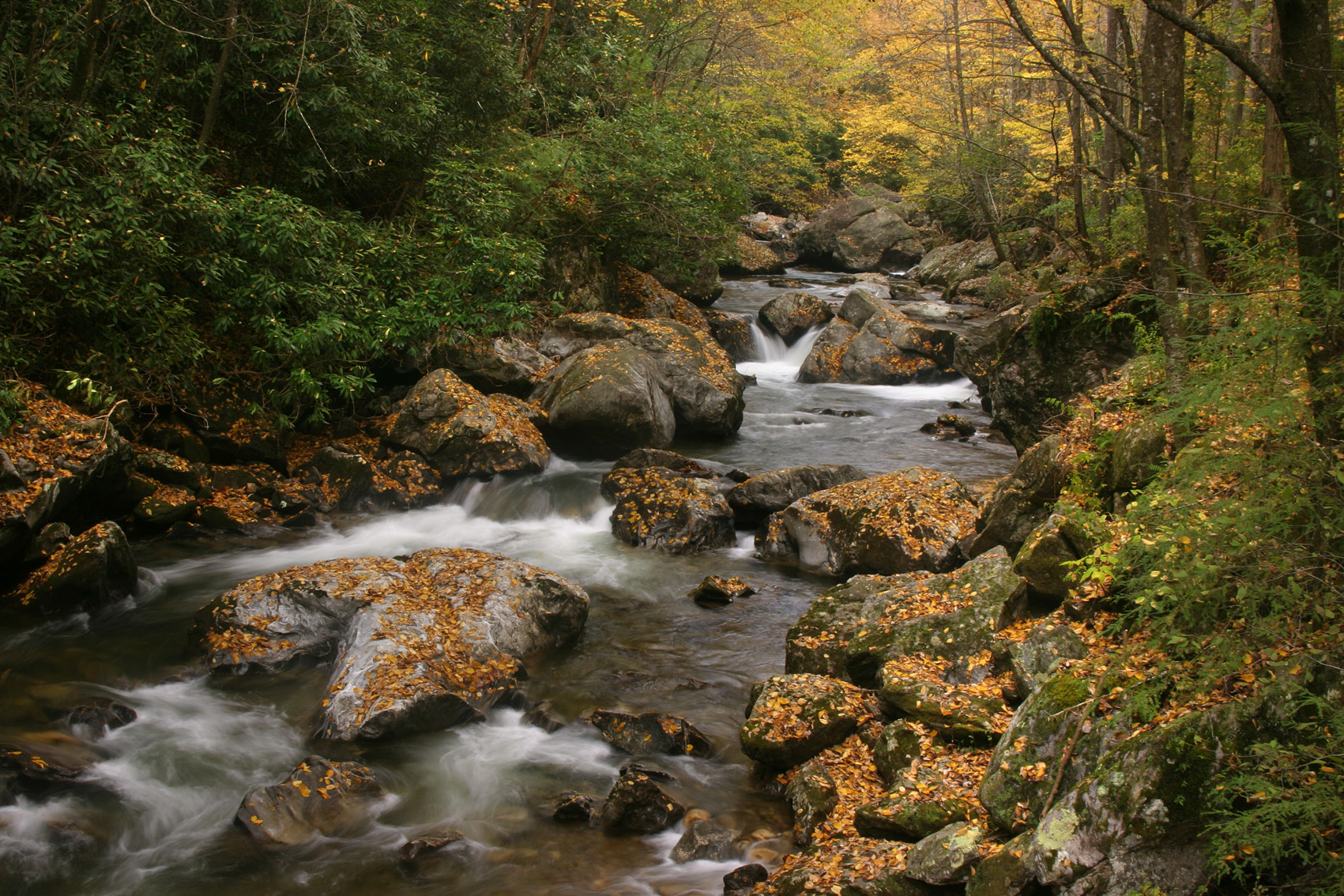 Fall – Peter McIntosh Photography