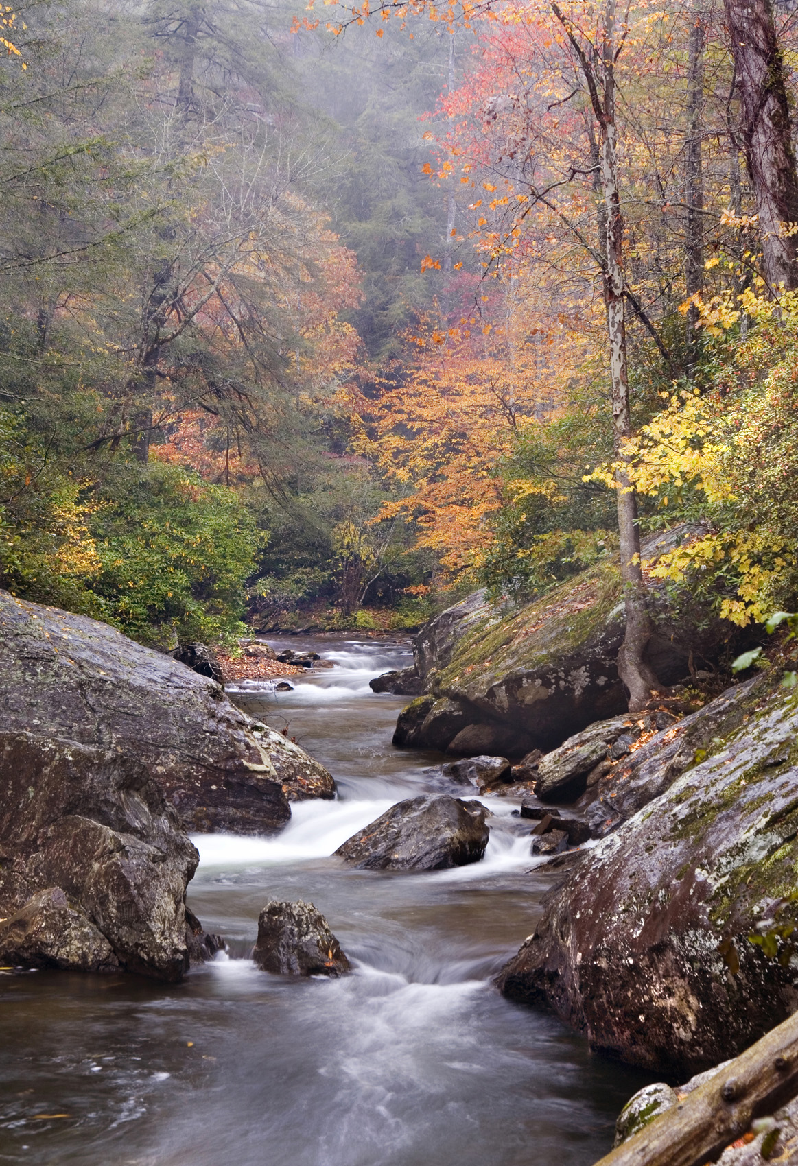Fall – Peter McIntosh Photography