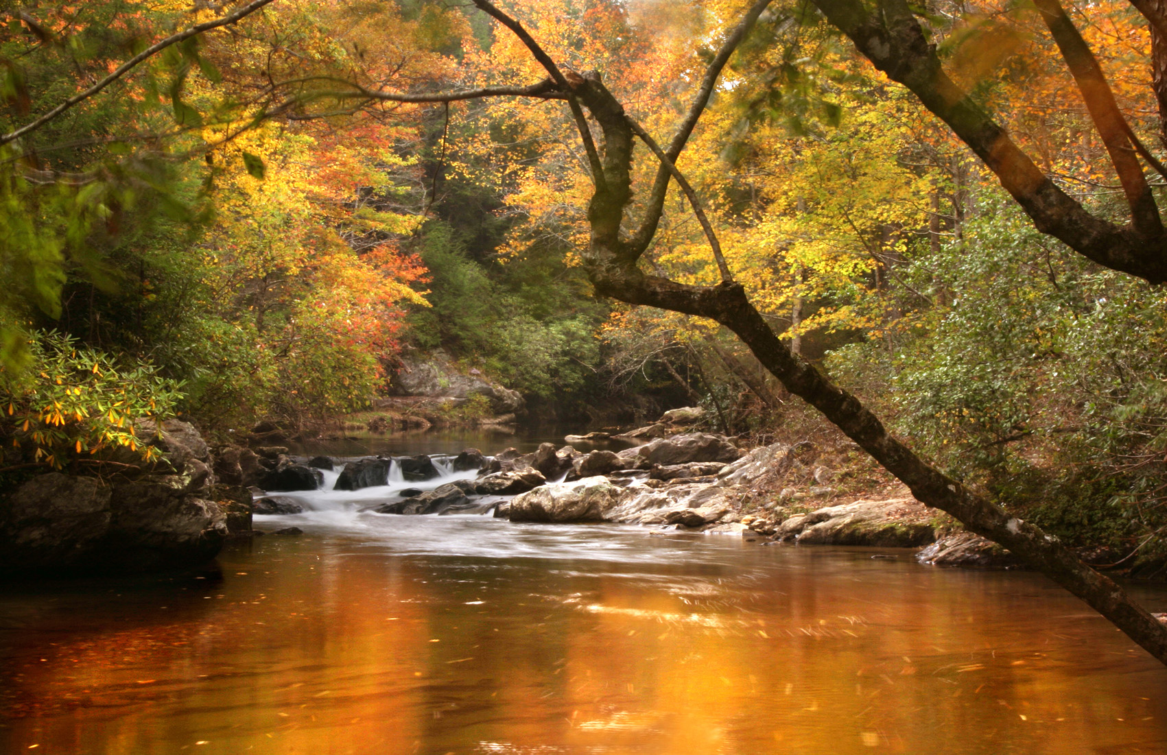 Fall – Peter McIntosh Photography